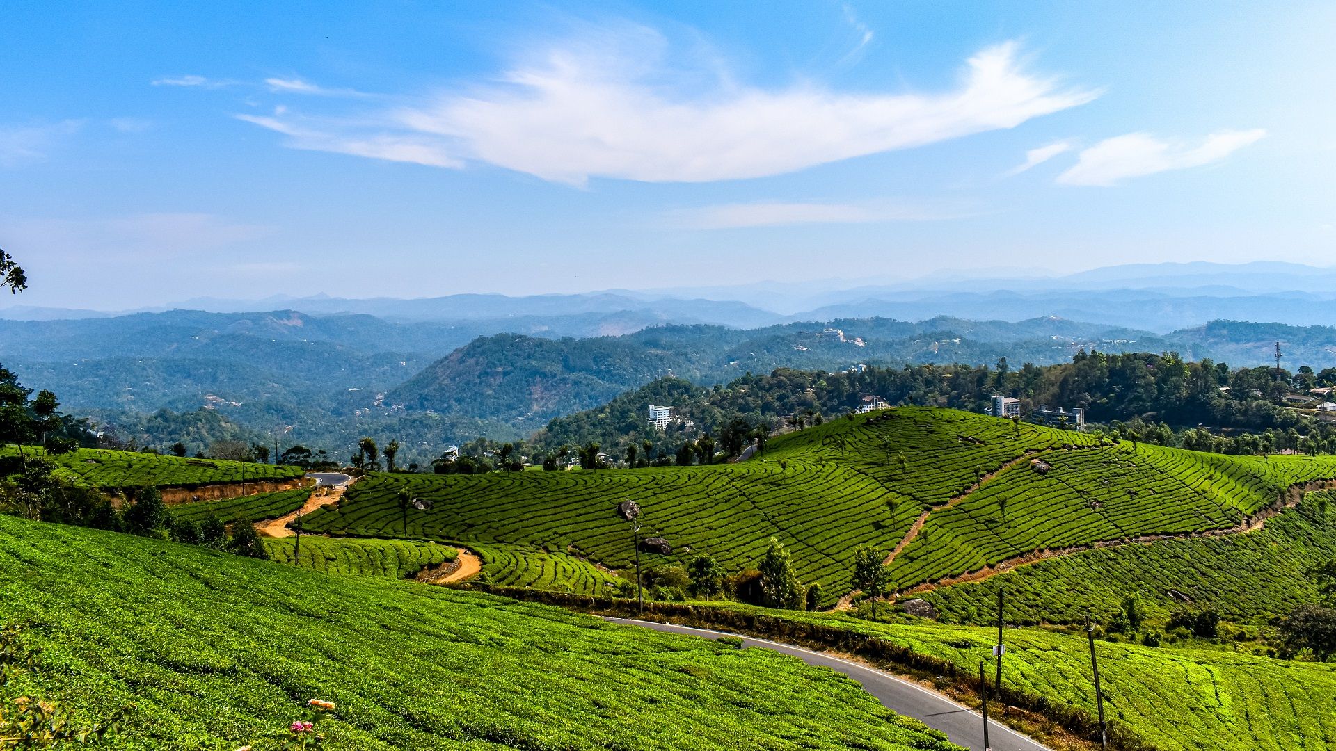 Best Hill Stations in South India To Take You Beyond The Bustle