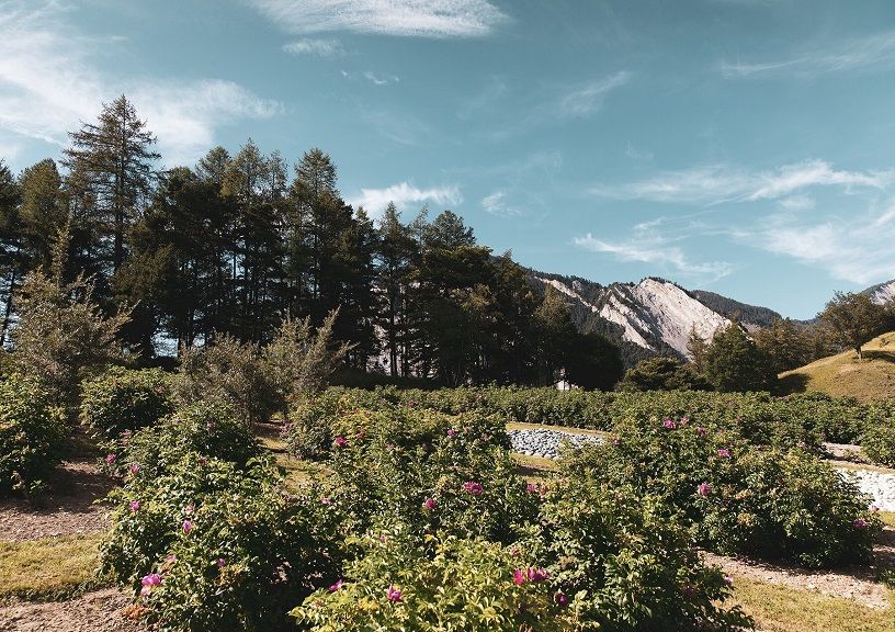 Valmont Cosmetics Became One Of The Most Luxurious Hotel Amenities