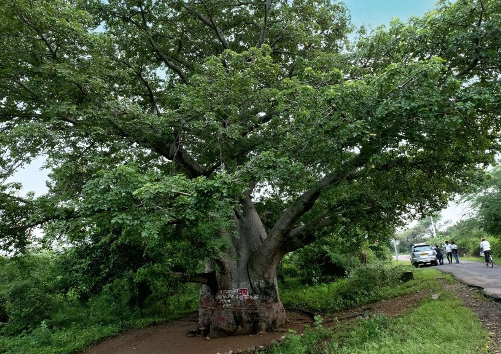 Discovering The Oasis Called Banswara Amidst The Desert Of Rajasthan