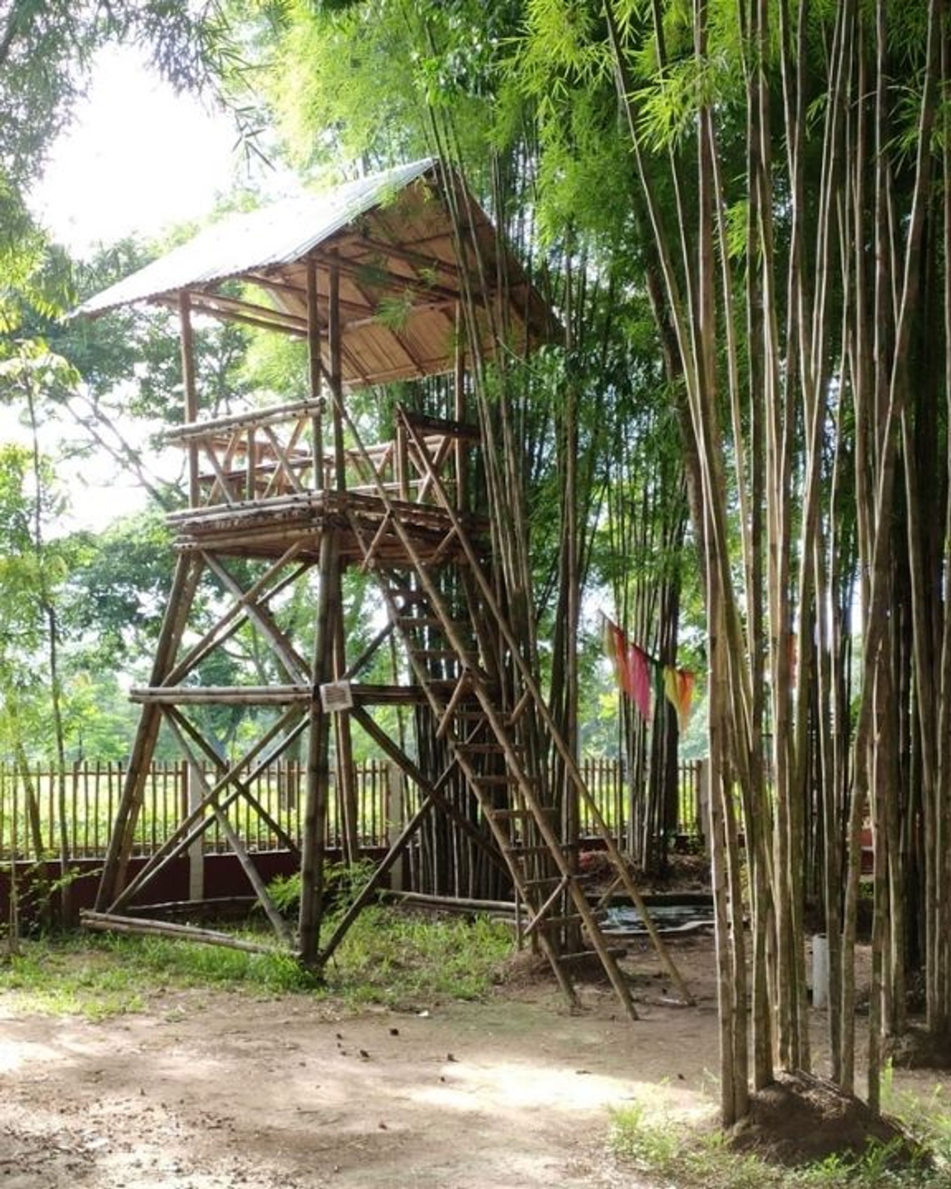 India's First Bamboo Park And Village Has Launched In Tripura