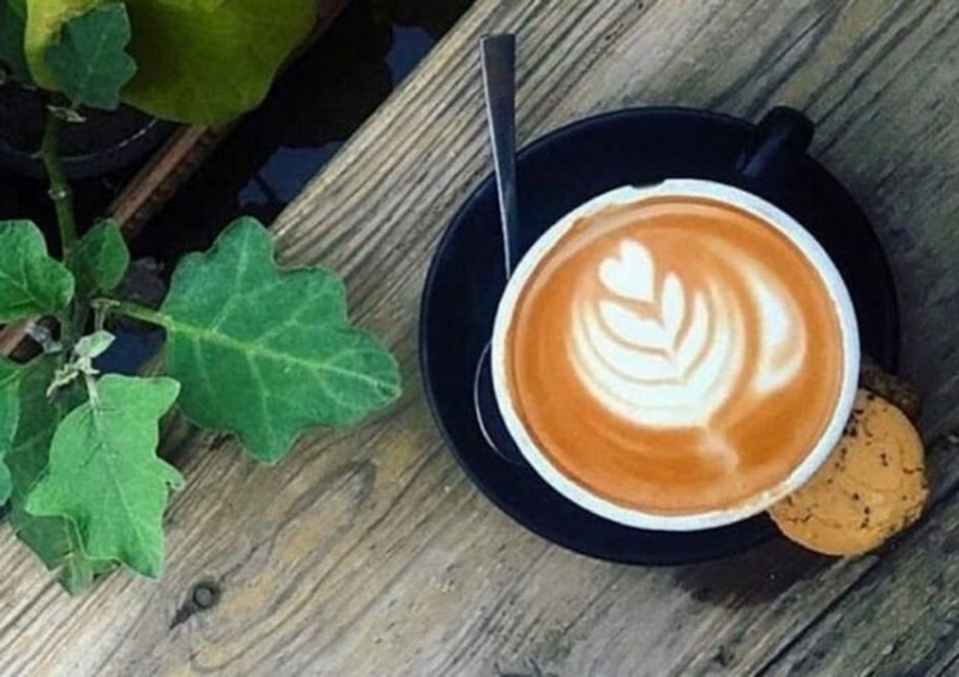 These 12 Coffee Shops In Delhi Are The Perfect Spots For A Cuppa