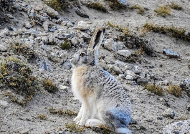 Latika Nath Captures The Essence Of Ladakh And Its Ethereal Beauty