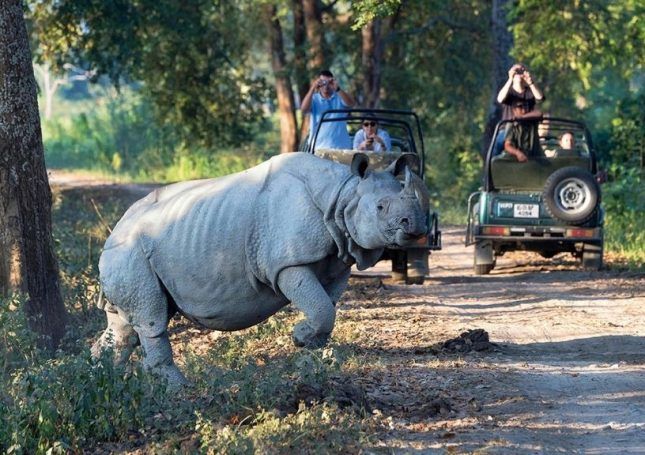 Here's The Difference Between National Park And Wildlife Sanctuary