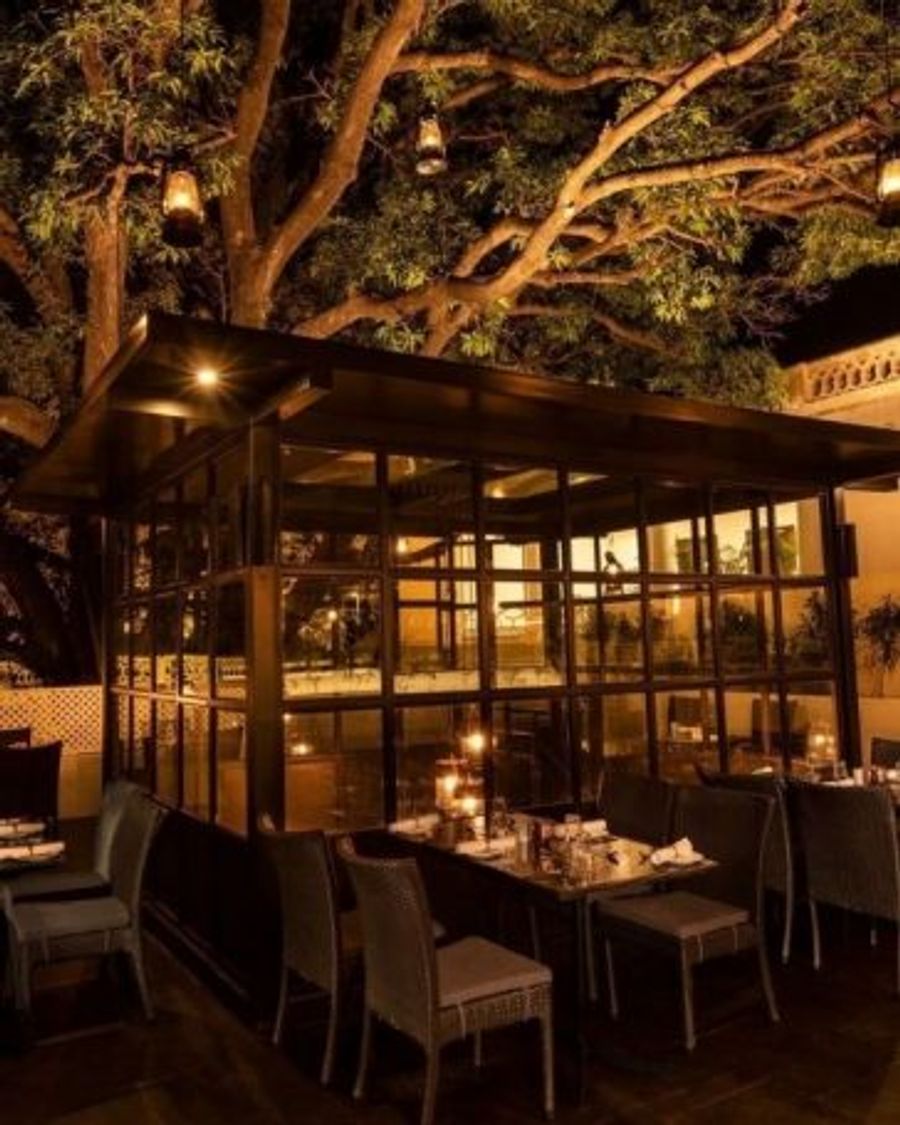 8 Restaurants In Bhopal That Must Be On Every Foodie's Bucket List