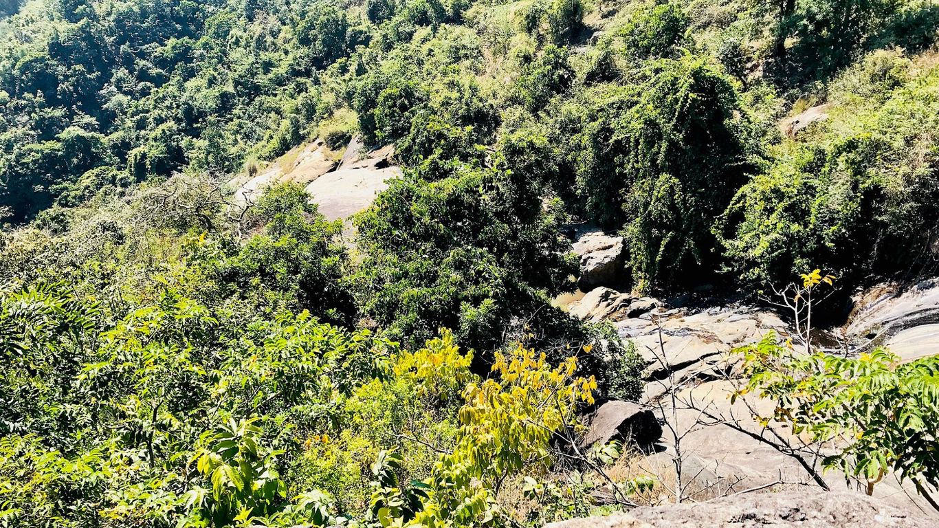 Araku Valley: A Land Of Coffee Trails, Scenic Waterfalls And Tribal ...