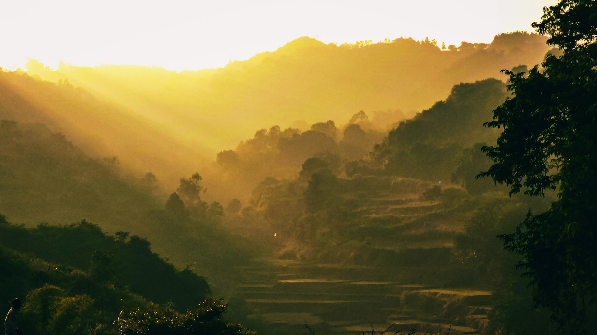 Araku Valley: A Land Of Coffee Trails, Scenic Waterfalls And Tribal ...