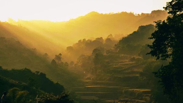 Araku Valley: A Land Of Coffee Trails, Scenic Waterfalls And Tribal ...