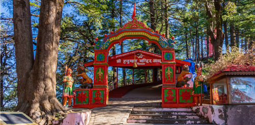 Places To Visit In Solan: Nature, Culture, Adventure In Himachal Pradesh