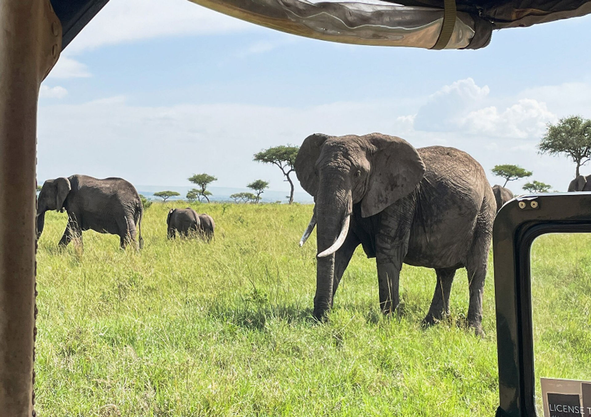 Here's The Difference Between National Park And Wildlife Sanctuary