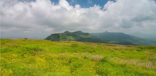 Places To Visit In Matheran: Your Guide To Asia's Tiniest Hill Station 2024