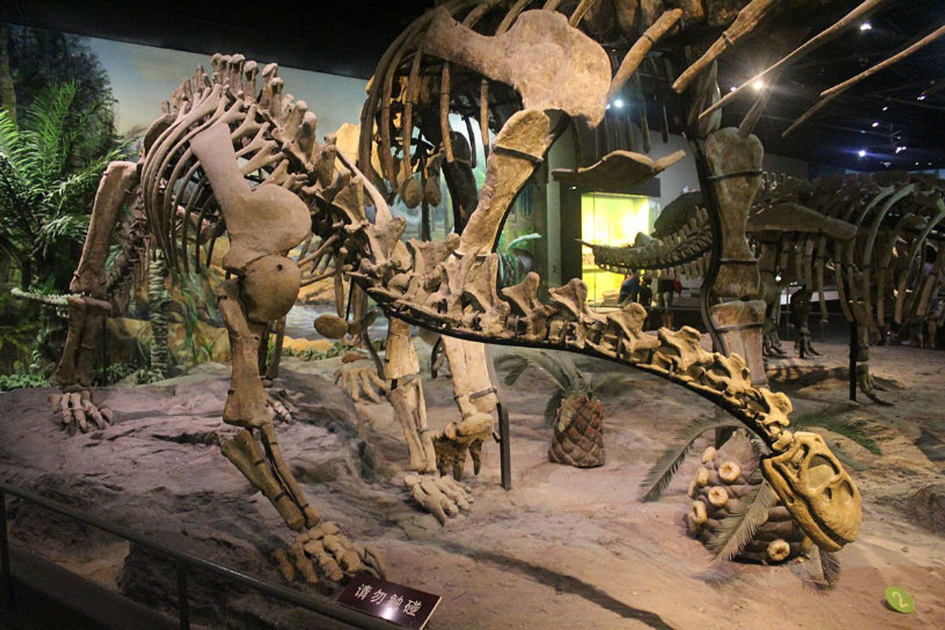 These 10 Museums In Asia Offer A Peek Into The Continent's Past