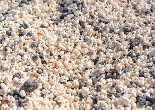 Check Out This 'Popcorn Beach' In The Canary Islands With Coral Fossils