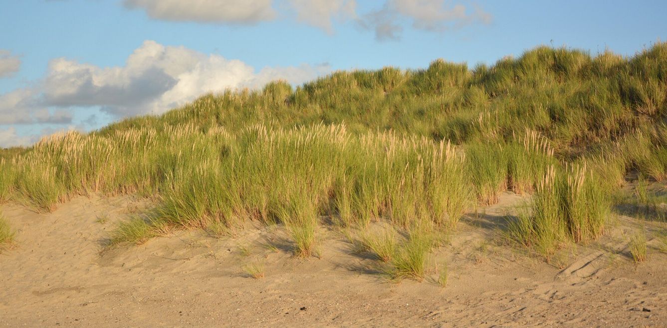 This Netherlands Beach Destination Has Charming Towns And Castles