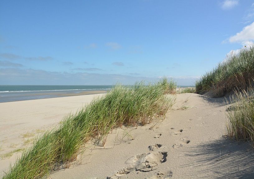 This Netherlands Beach Destination Has Charming Towns And Castles