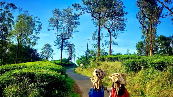 These Are The Best Places To Visit In June In India