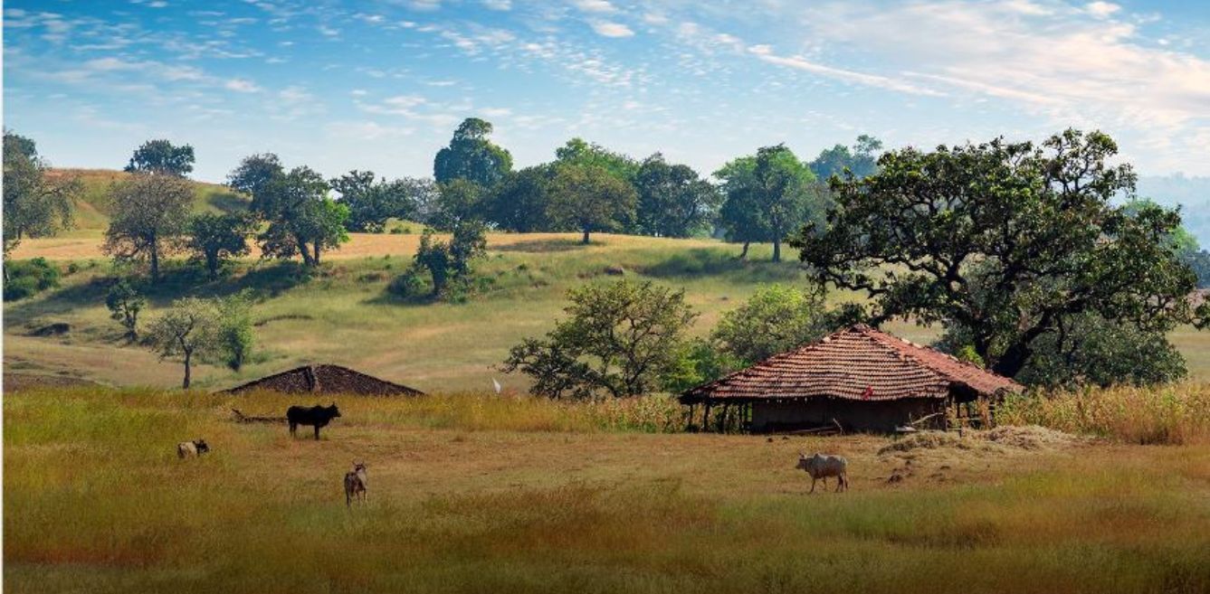Here's Why You Must Explore Patalkot Valley In Madhya Pradesh