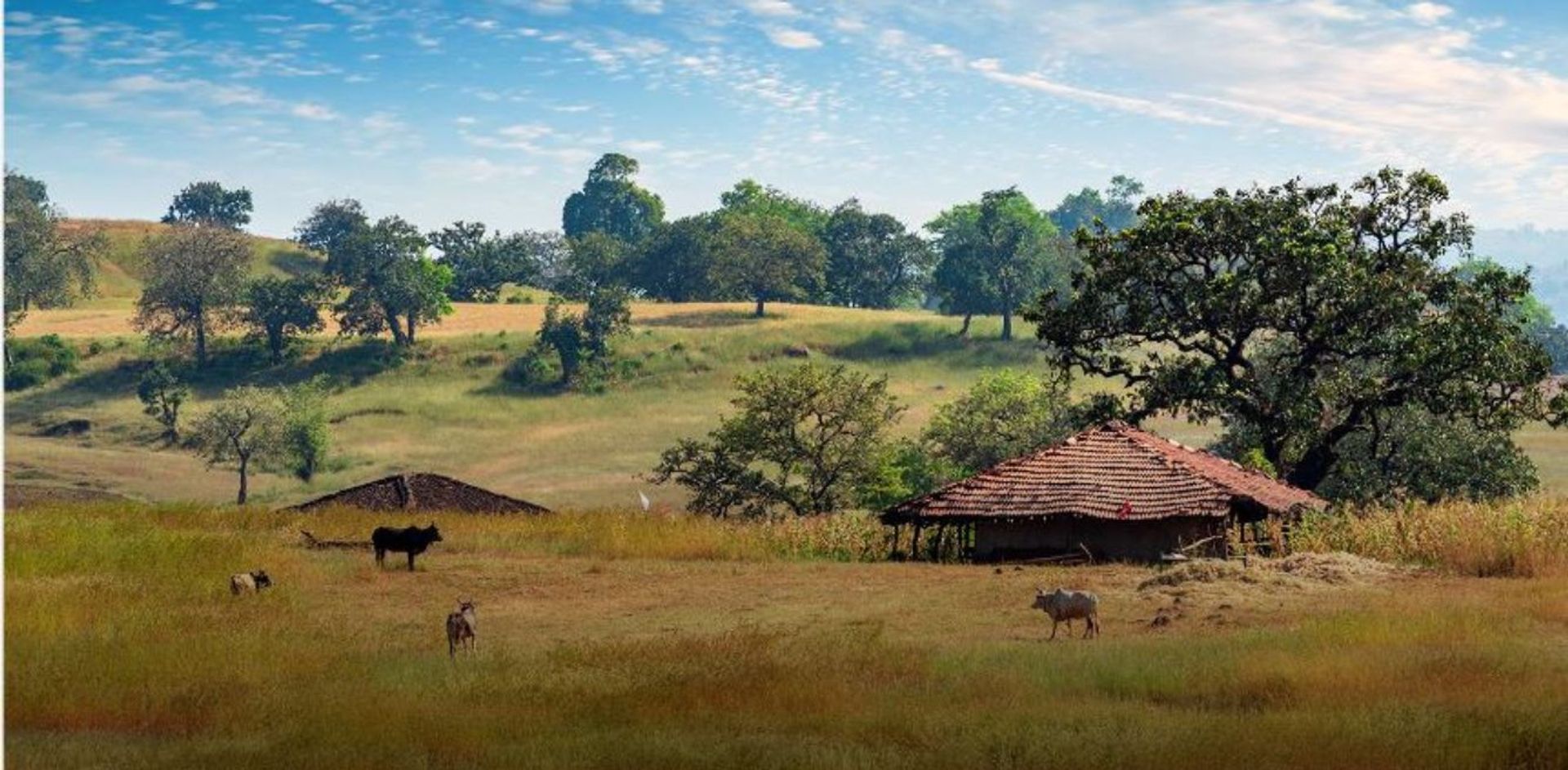 Here's Why You Must Explore Patalkot Valley In Madhya Pradesh