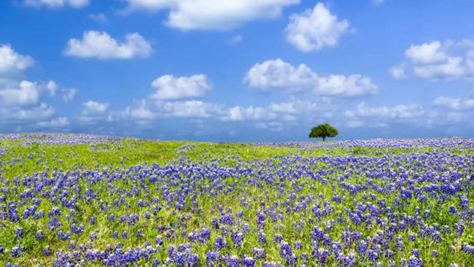 14 Best International Destinations To Travel In September