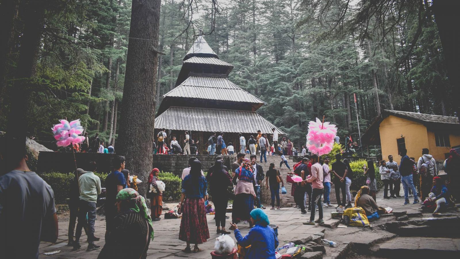 8 Places To Visit In Manali To Make Your Travel Experience Even Better