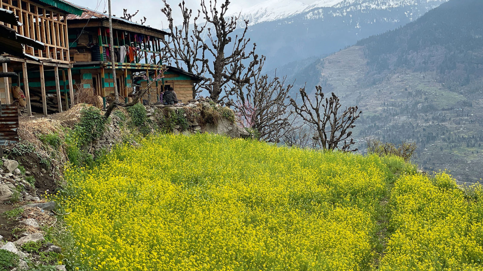 Discovering Kalap, A Forgotten Self-sustainable Village In Uttarakhand