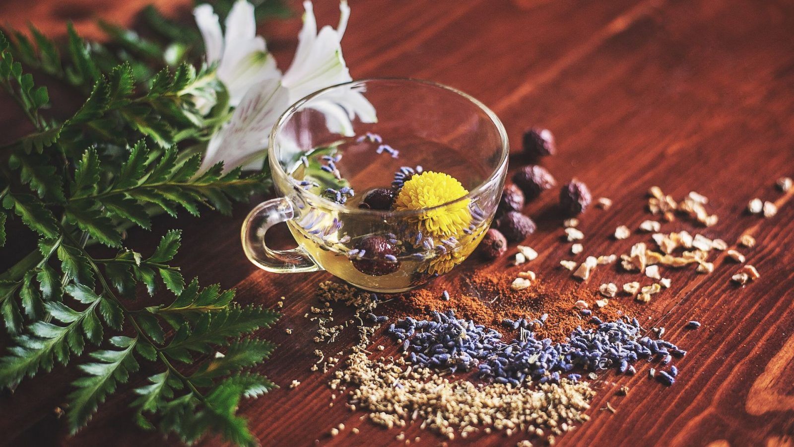 All You Need To Know About The AYUSH Visa