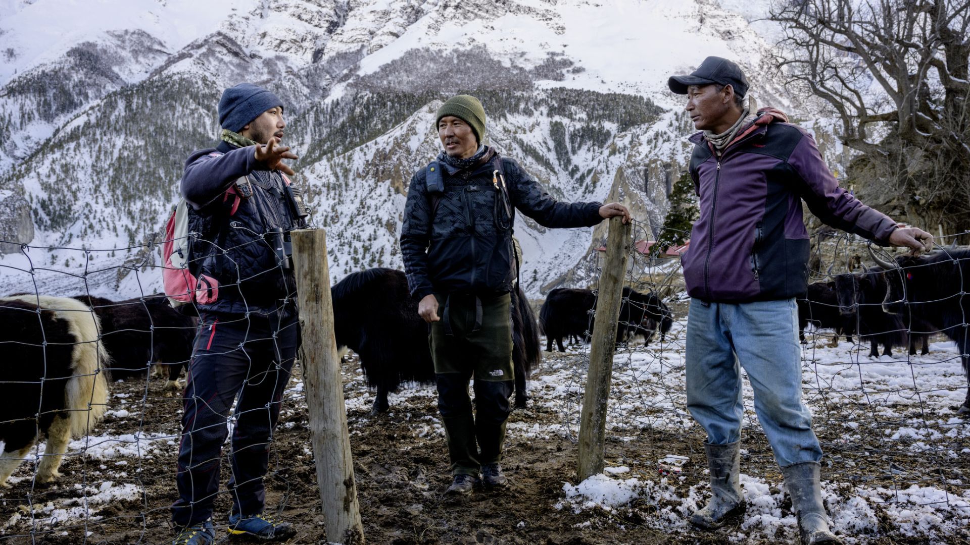 How The Rolex Awards For Enterprise Is Protecting Our Environment