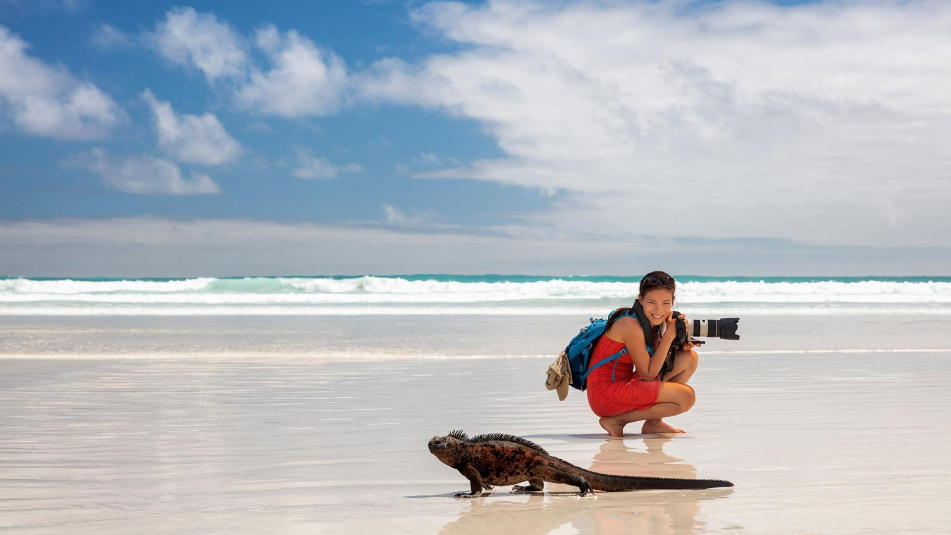 20 Thrilling Wildlife Experiences Across The Globe