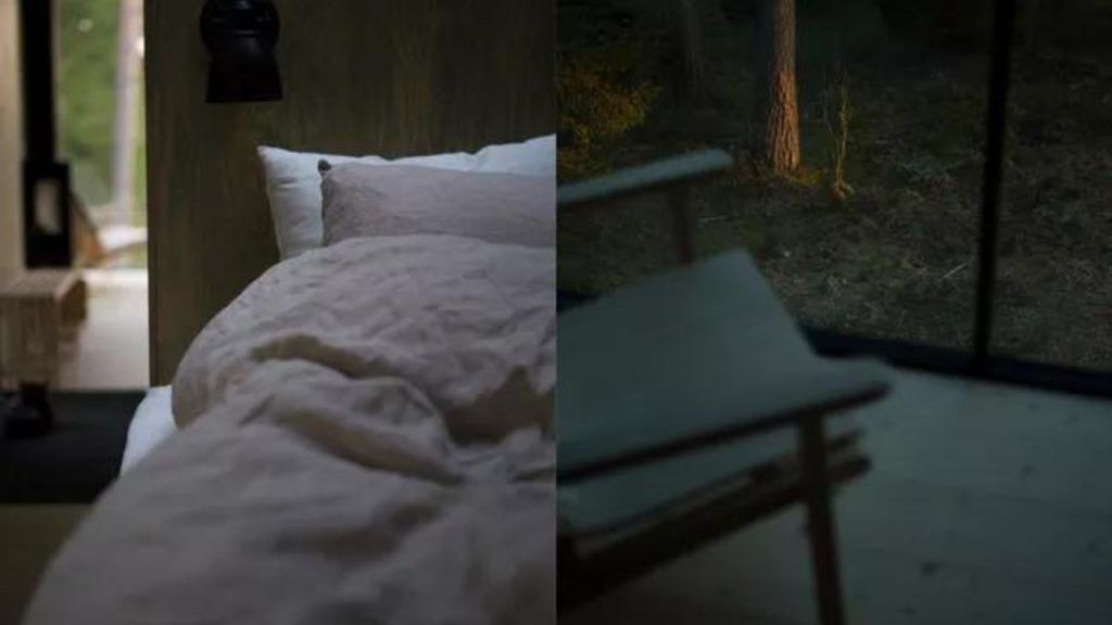 This New Forest Hotel In Sweden Has 5 'Floating' Tree House Suites