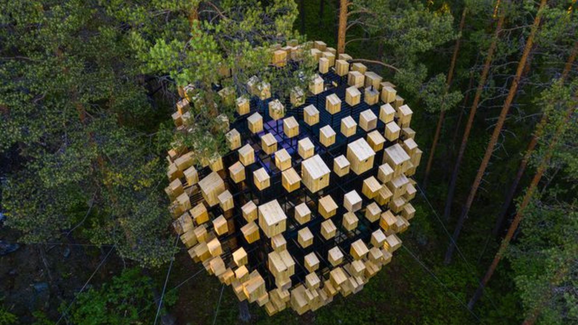 10 Luxury Tree House Stays Around The World