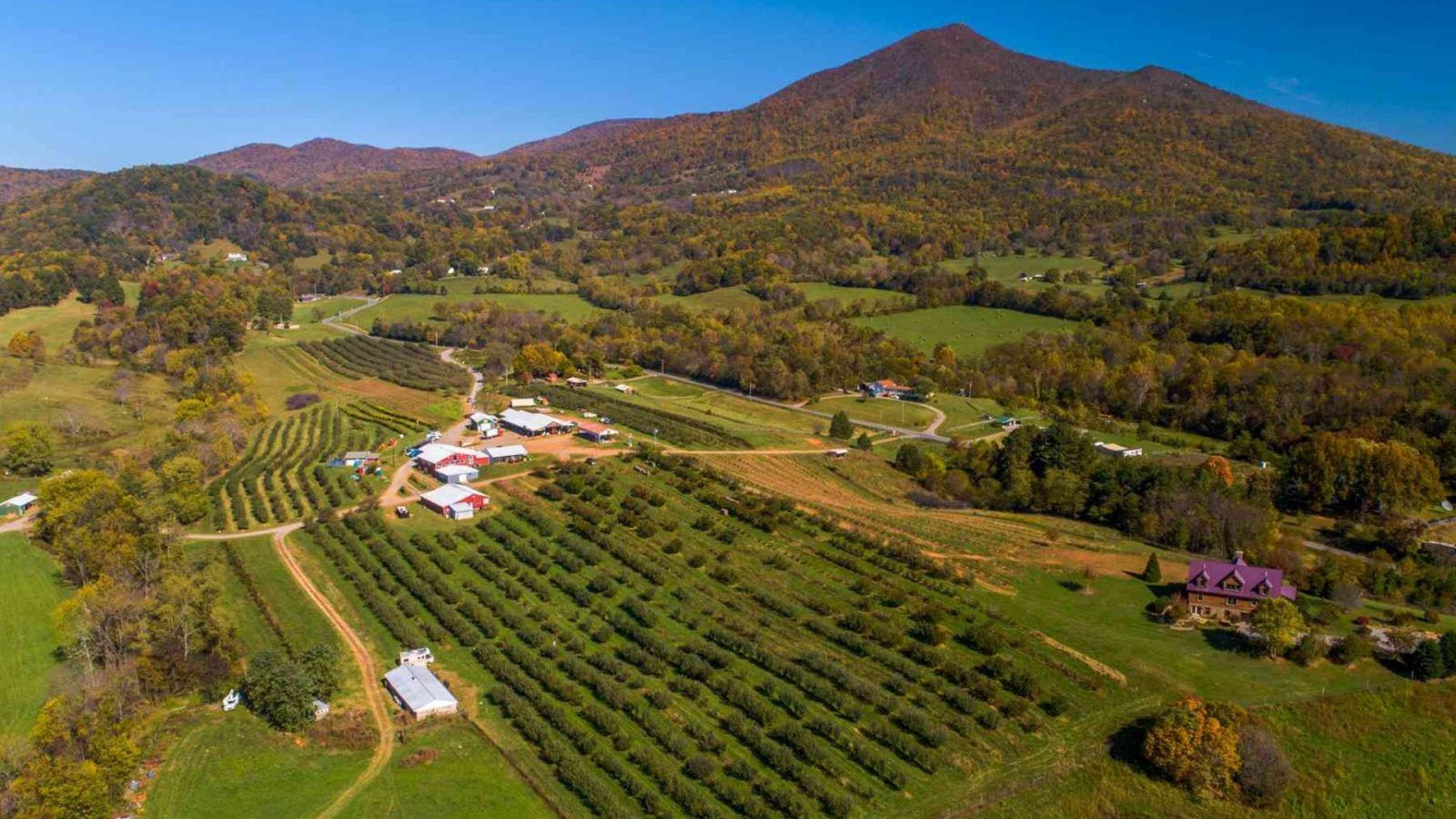 This Charming Virginia Town Is The Perfect Fall Escape