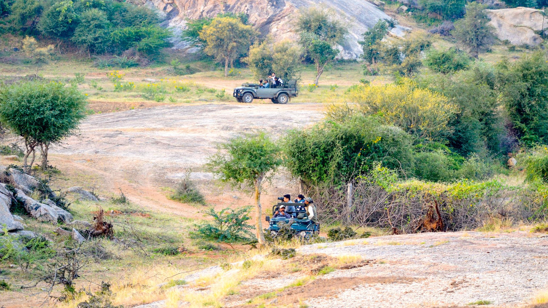 Trail The Big Cat In Jawai, A Small Village Hidden In Rajasthan