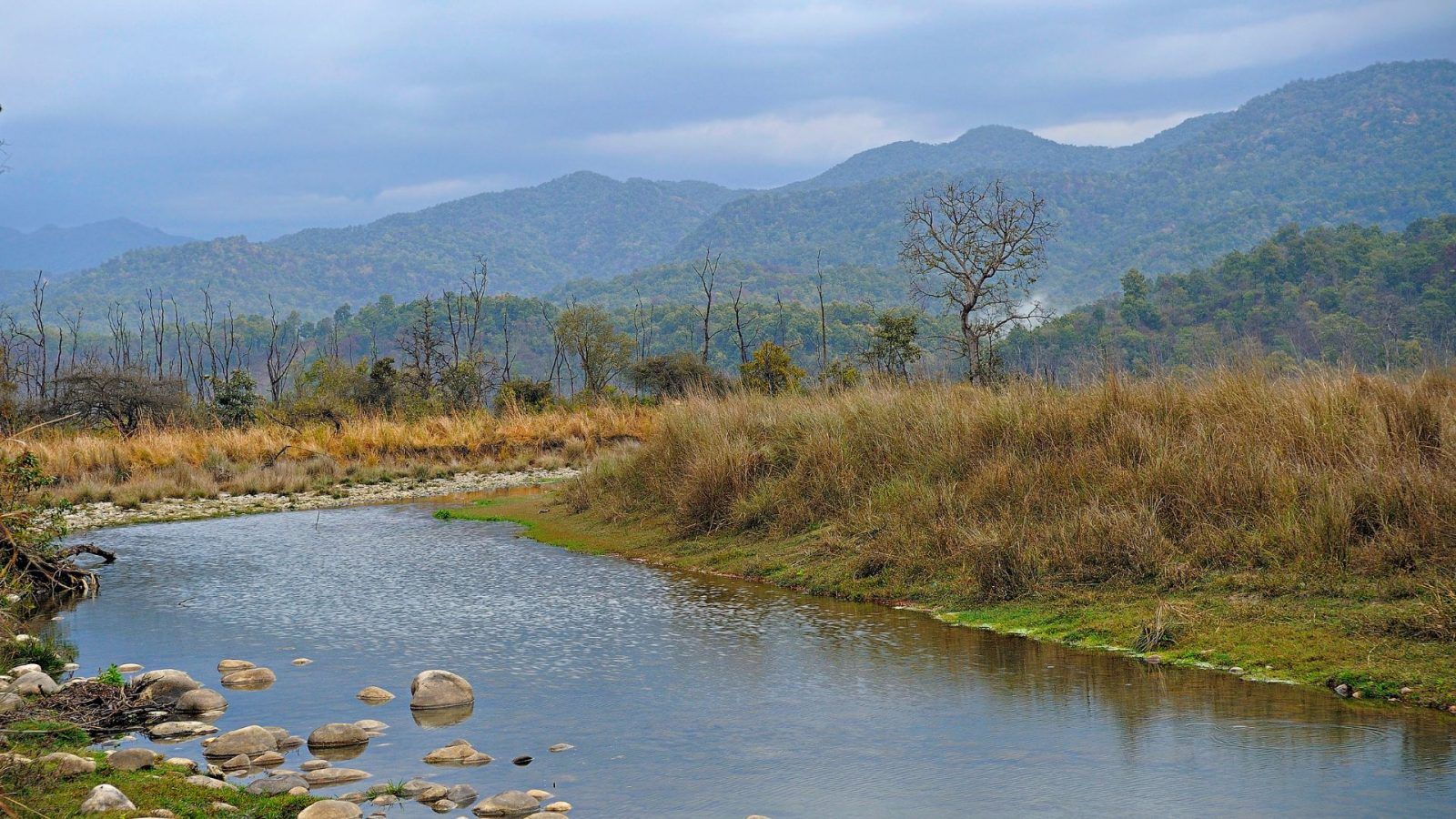 Meet Rathika Ramasamy, India's First Woman Wildlife Photographer
