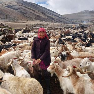 Mesmerizing Beauty Of Turtuk: The Last Village Of India In Ladakh's ...
