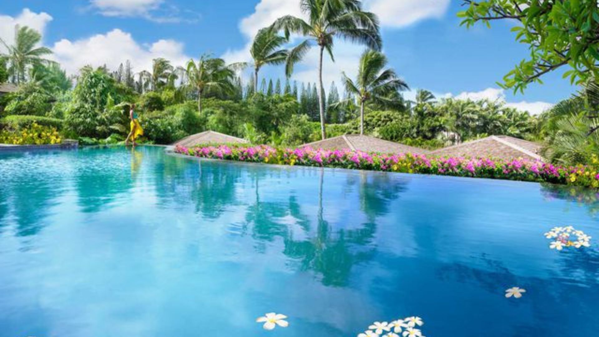 This Hawaiian Resort Lets You Snorkel With Turtles And Pool Hop All Day