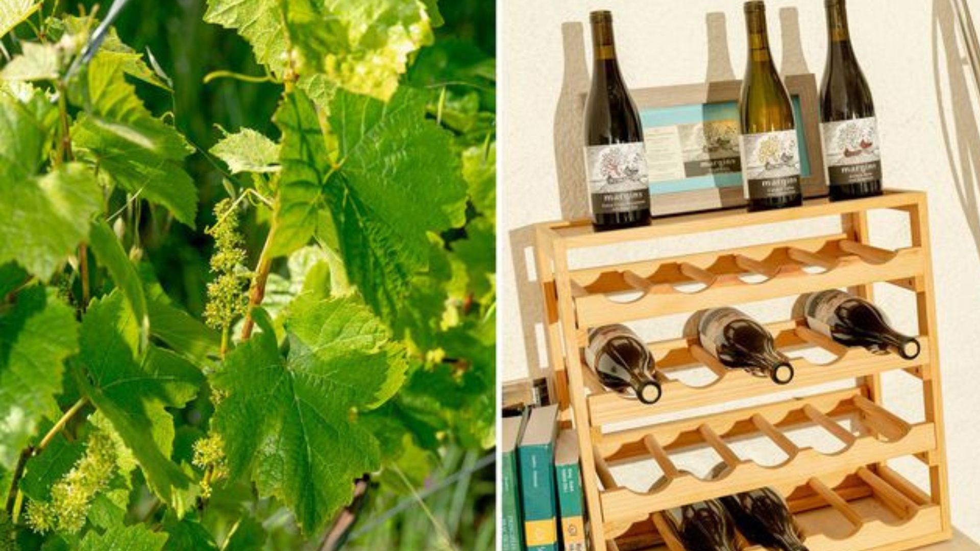 How California's Female Winemakers Are Changing How We Drink