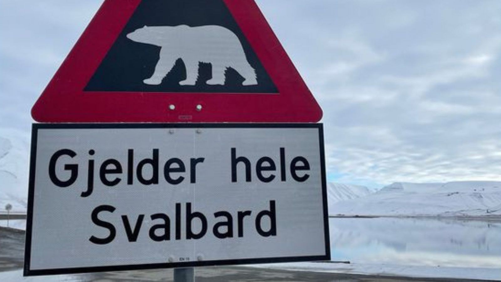 The Northernmost Town In The World, Longyearbyen Is A Rare Destination