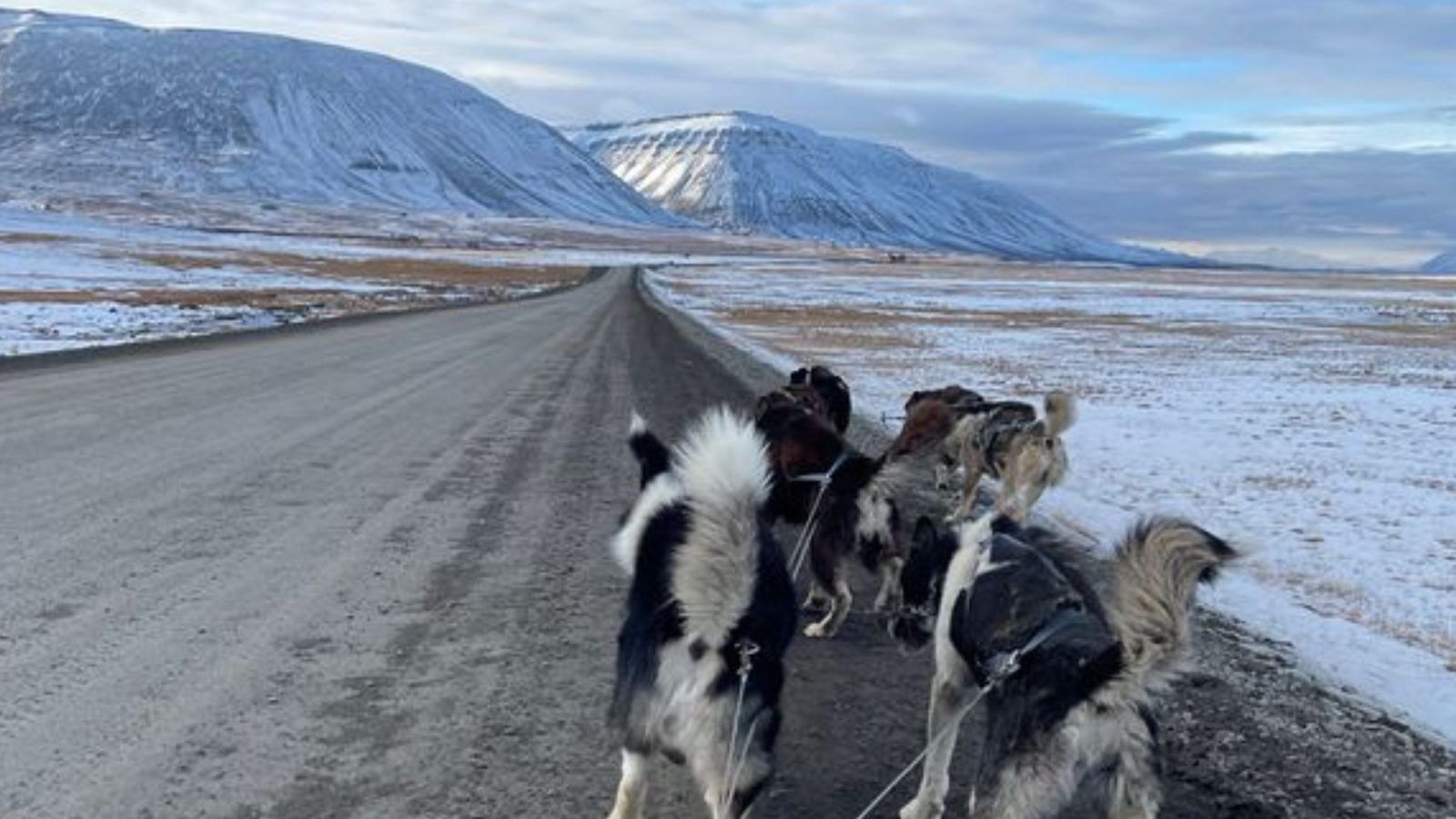 The Northernmost Town In The World, Longyearbyen Is A Rare Destination