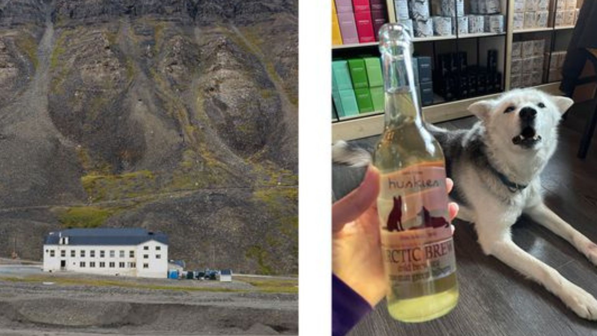 The Northernmost Town In The World, Longyearbyen Is A Rare Destination