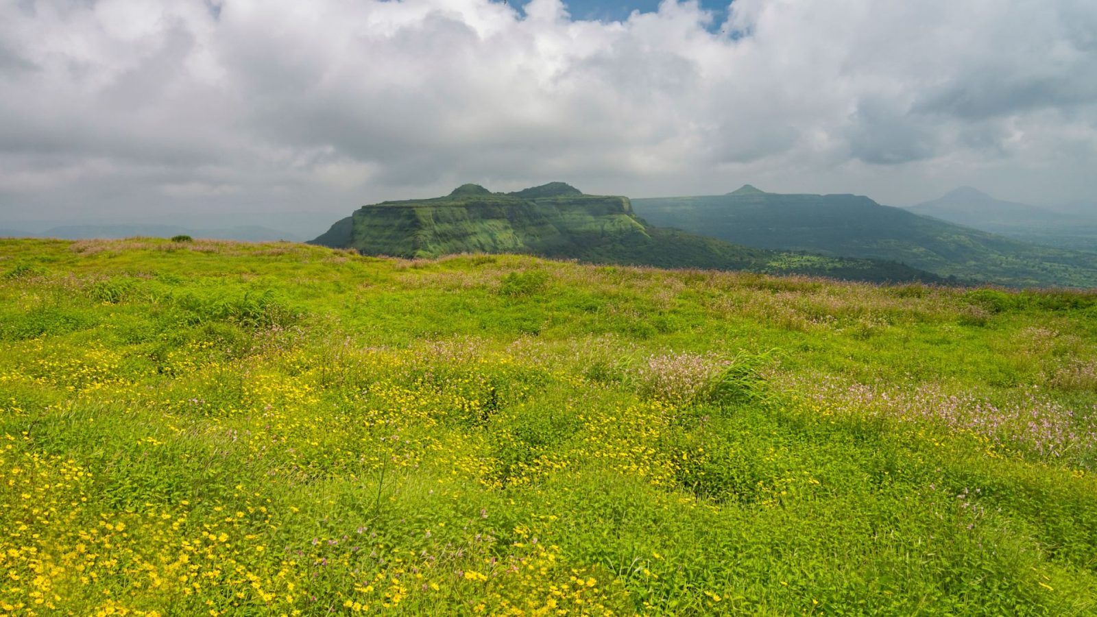 Places To Visit In Lonavala To Truly Discover The Jewel Of The Sahyadri