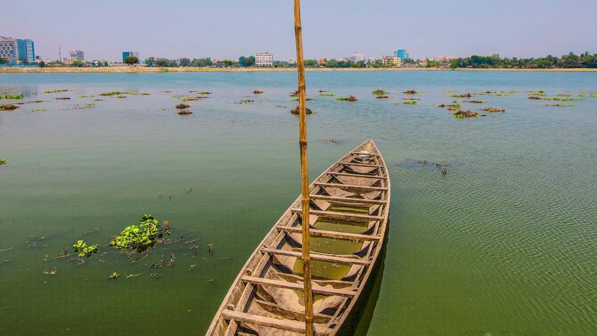 Birdwatching In Kolkata: Where To Make The Best Of The Season