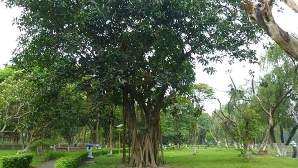 Birdwatching In Kolkata: Where To Make The Best Of The Season