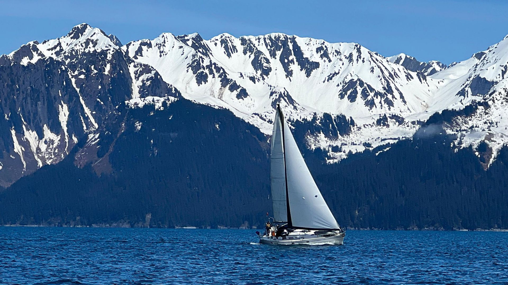 Through The Lens: Mount Denali, North America's Highest Peak, In Photos