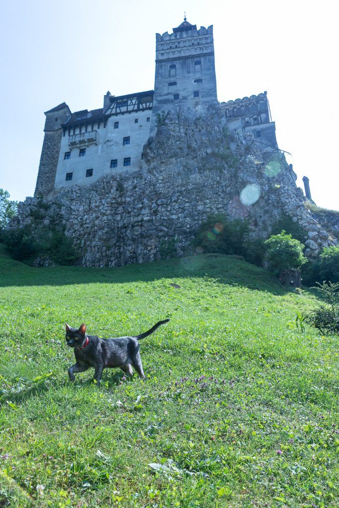 Travellers Can Celebrate Halloween In Dracula’s Castle In Romania