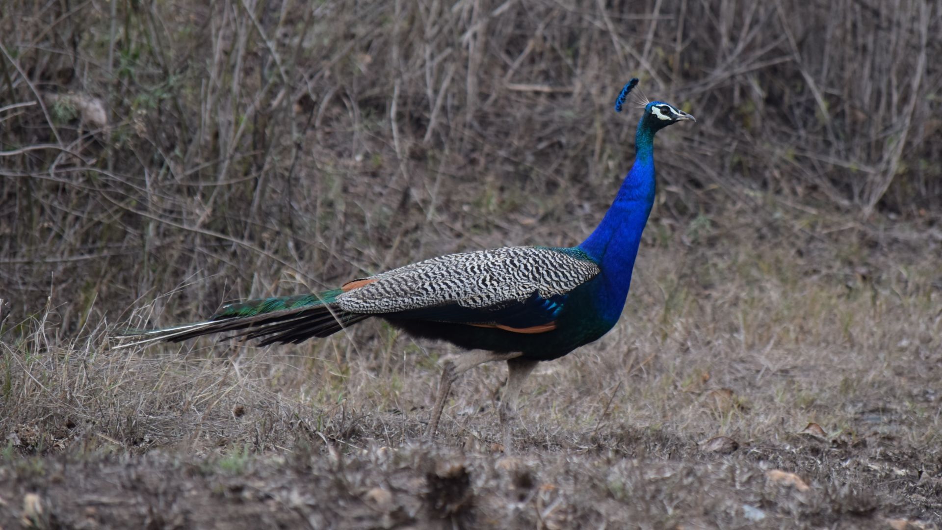 20 Best Places To Visit In December In India - Winter Destinations 2023