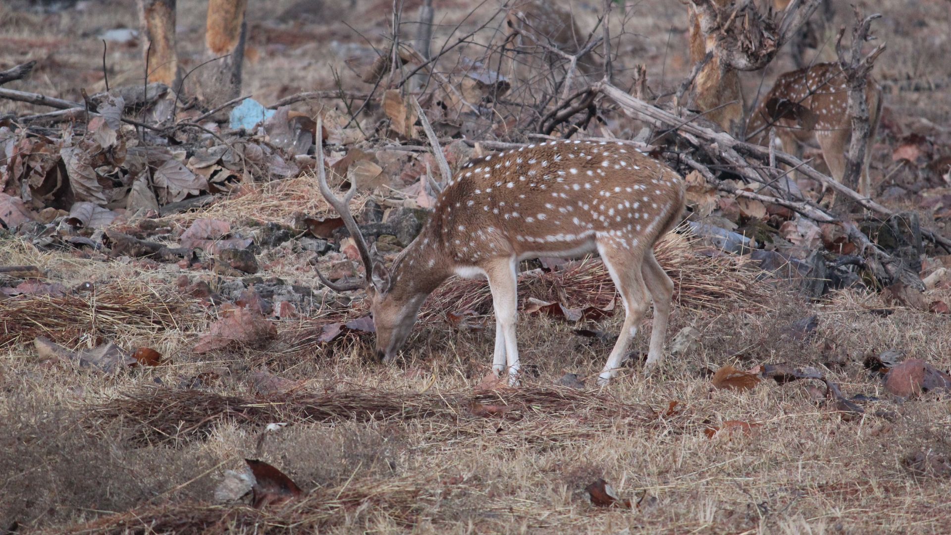 20 Best Places To Visit In December In India - Winter Destinations 2023