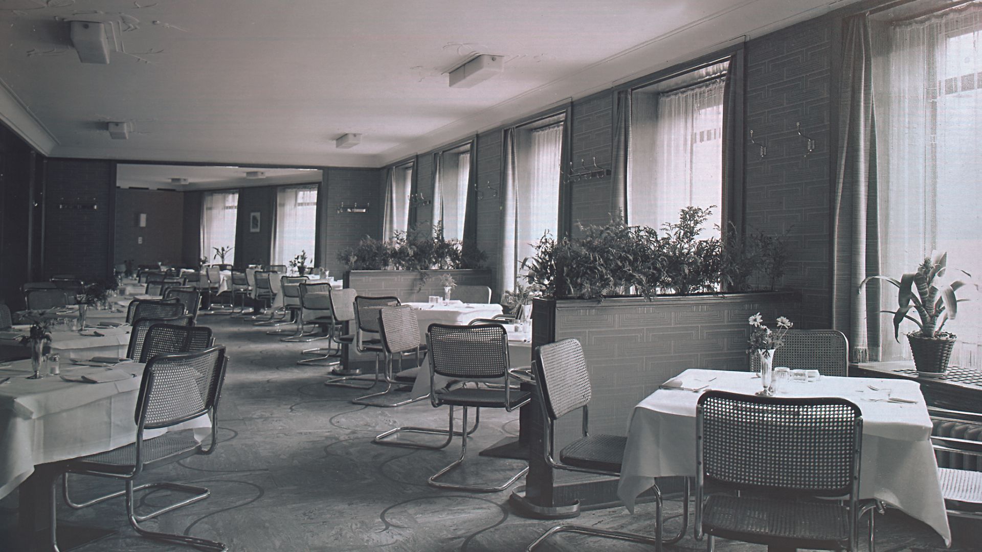 TL Reviews: Haus Hiltl, The World's Oldest Vegetarian Restaurant