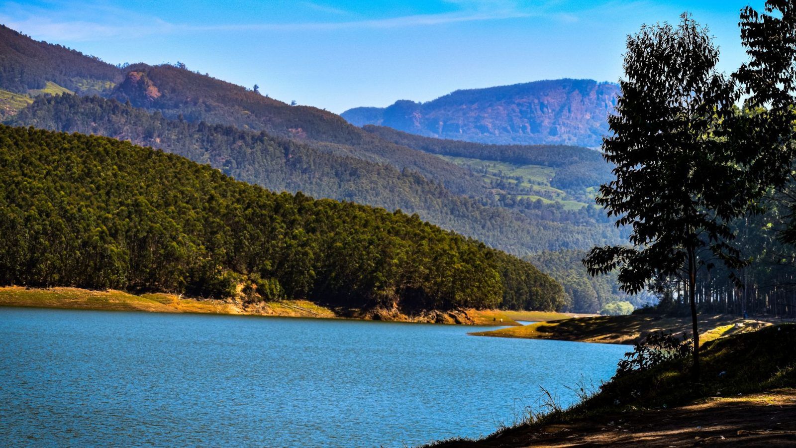 Munnar Travel Guide: By Air, By Road, By Train