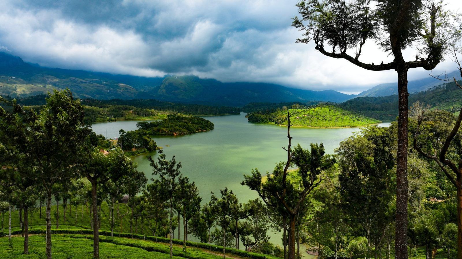 Munnar Travel Guide: By Air, By Road, By Train