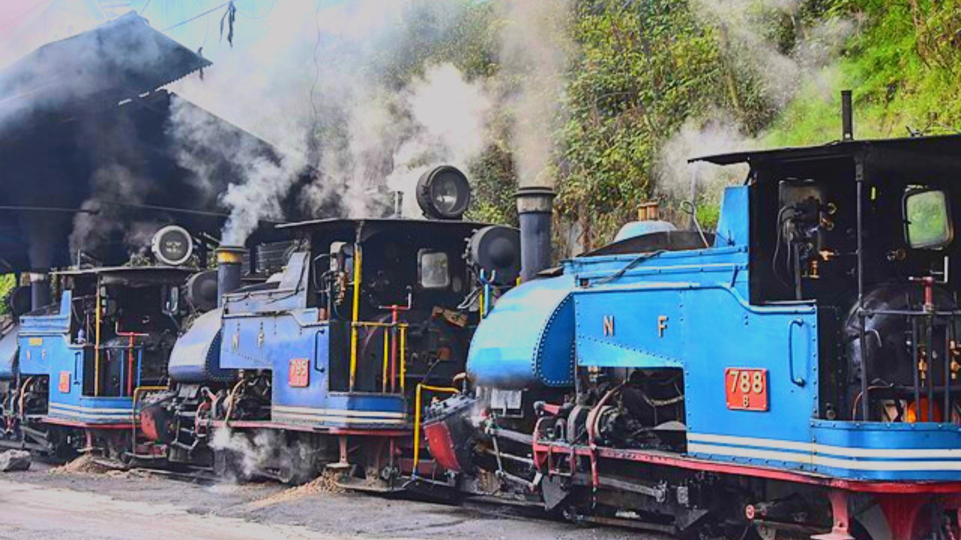 Darjeeling Toy Train's Night Rides: Ticket Prices, Timings And Other ...