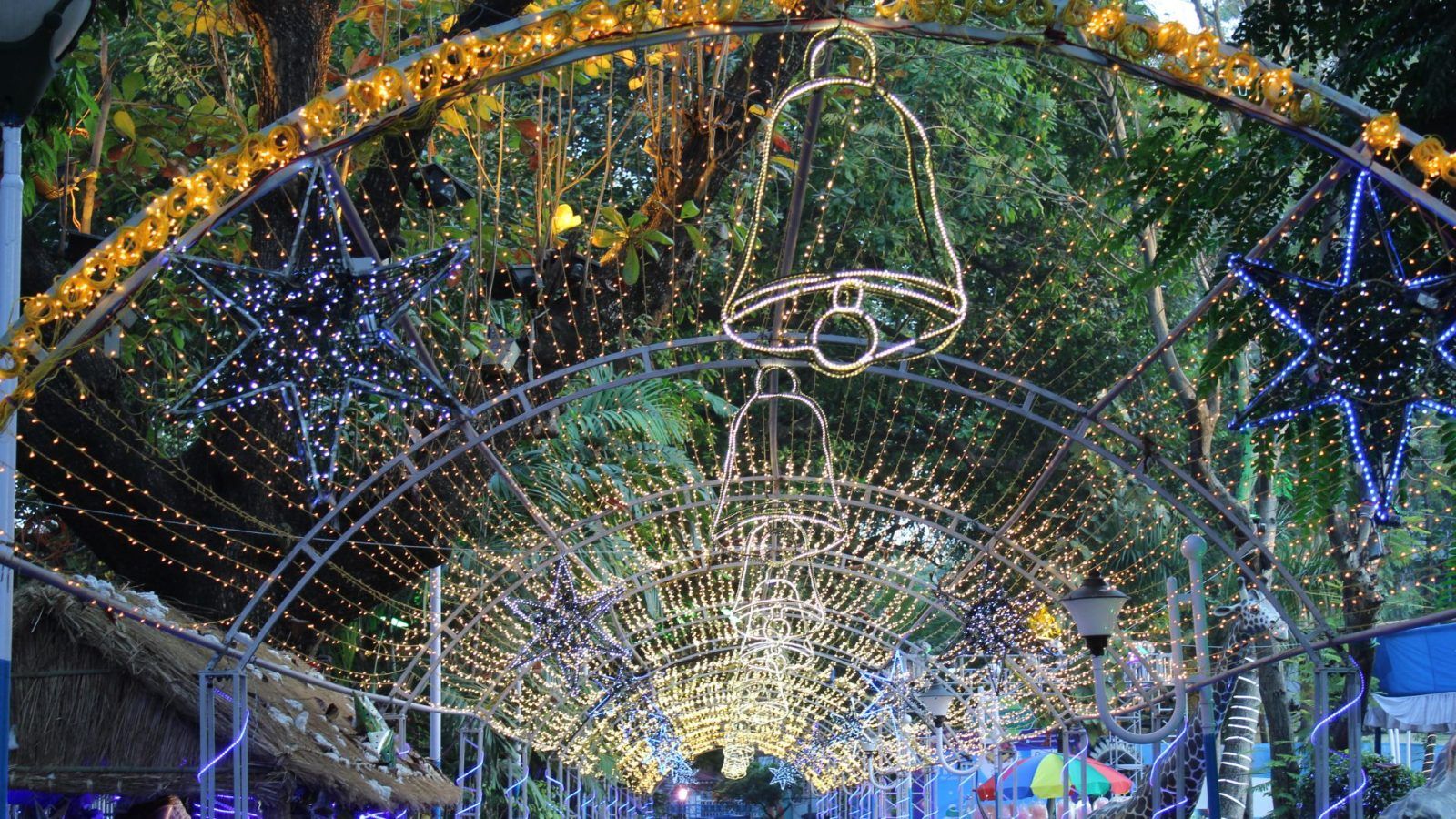 Celebrate Christmas In Kolkata With The Only Guide You Need